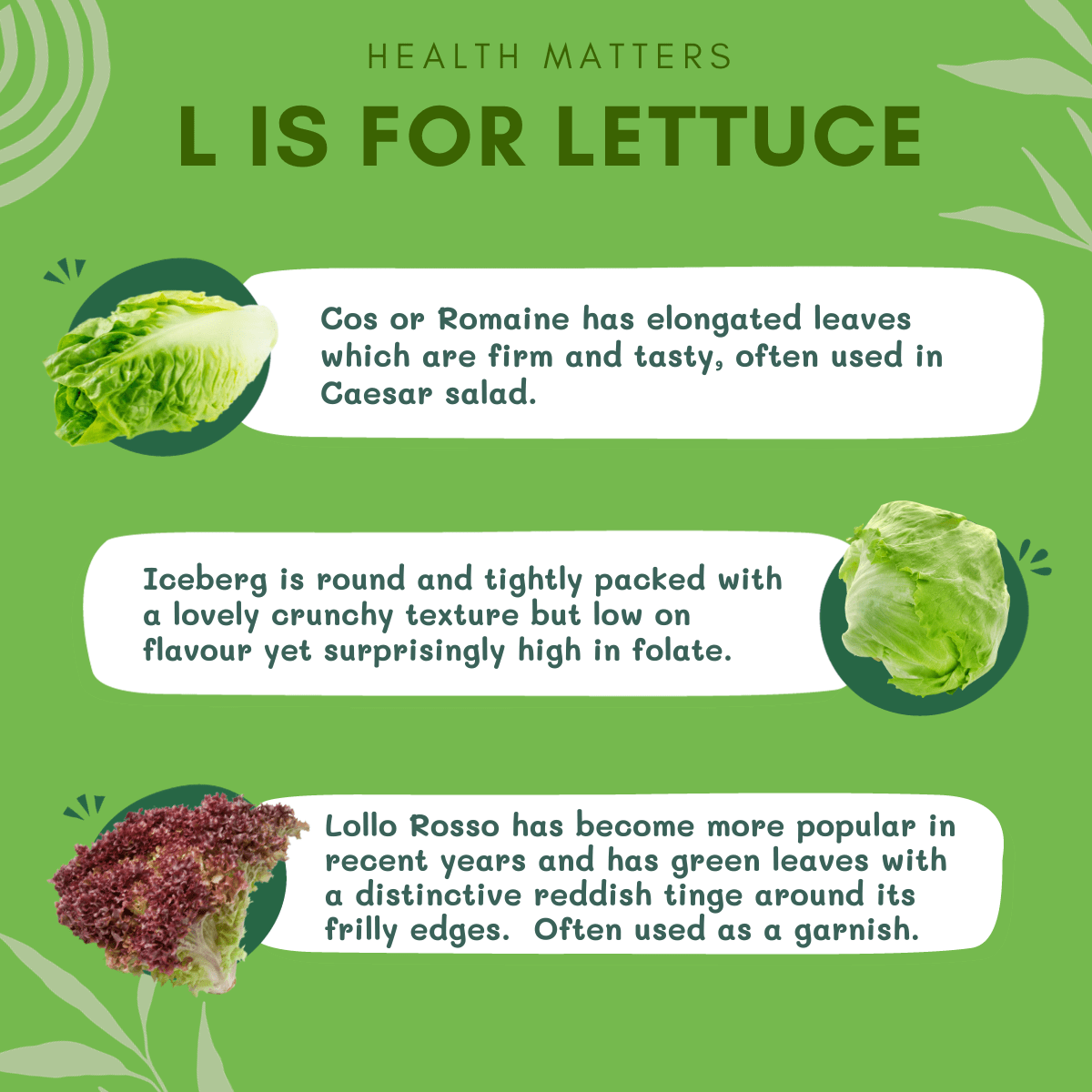 Health Matters – An A to Z Guide to Good Health – L is for Lettuce ...